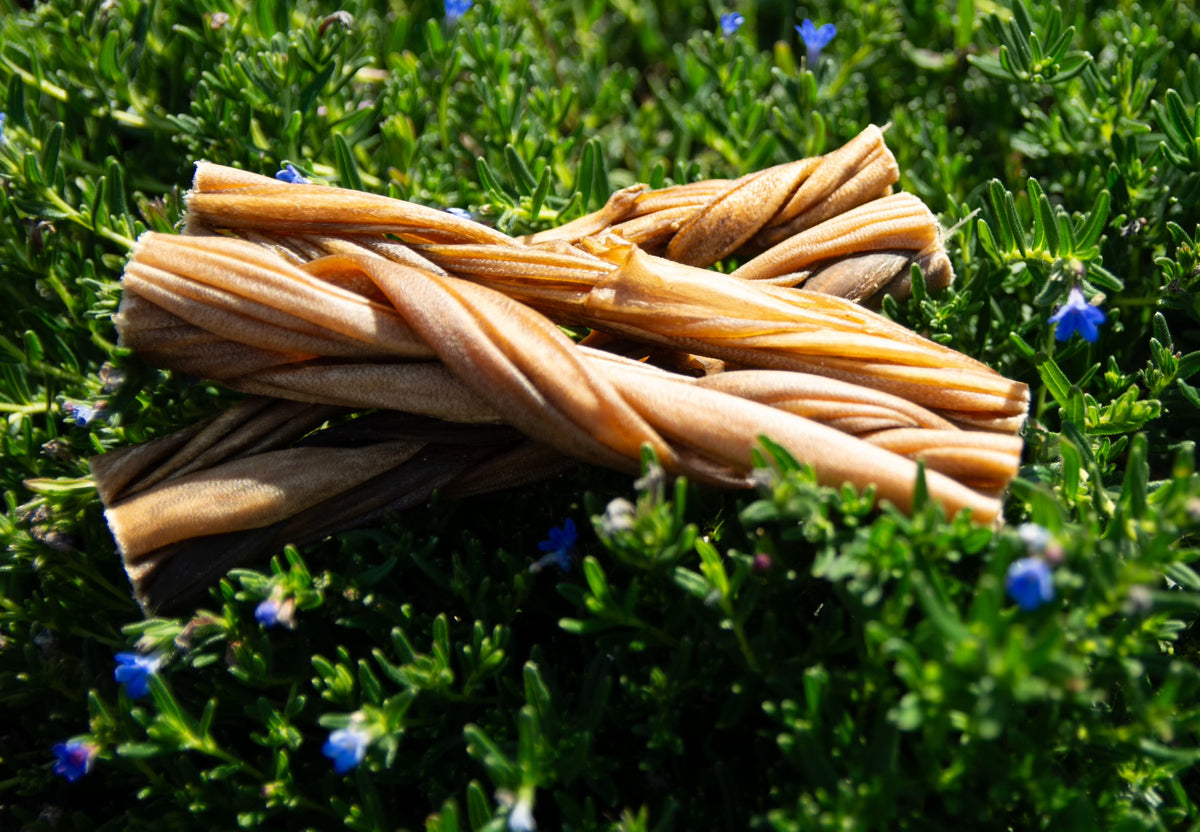 Lamb collagen twist – Lonestar Dog Treats